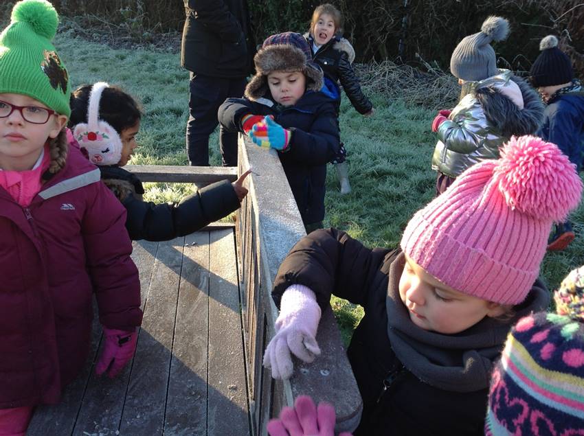 Exploring the ice – The Ryde School